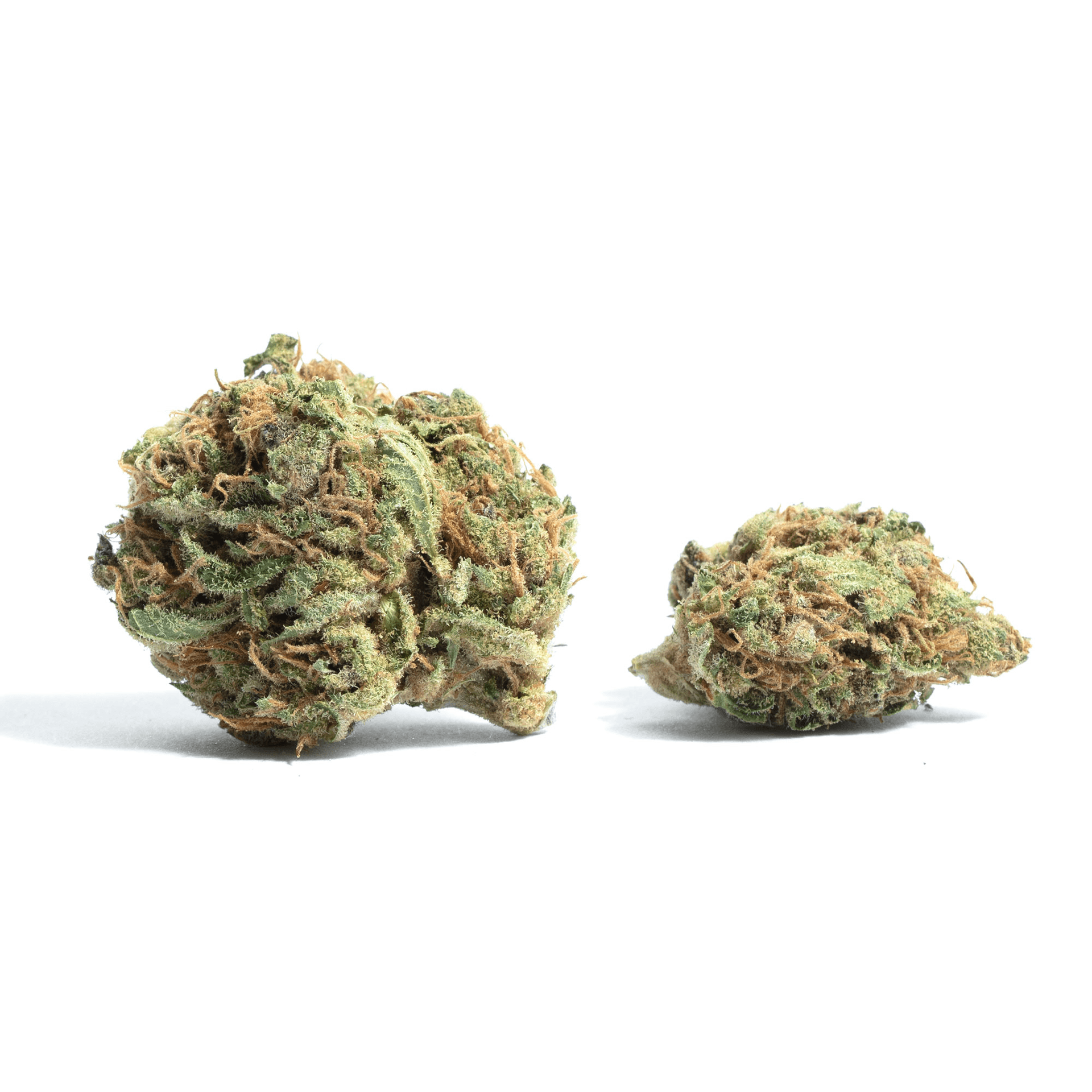 Titan Express Cannabis Strain | Effects, Flavors & More