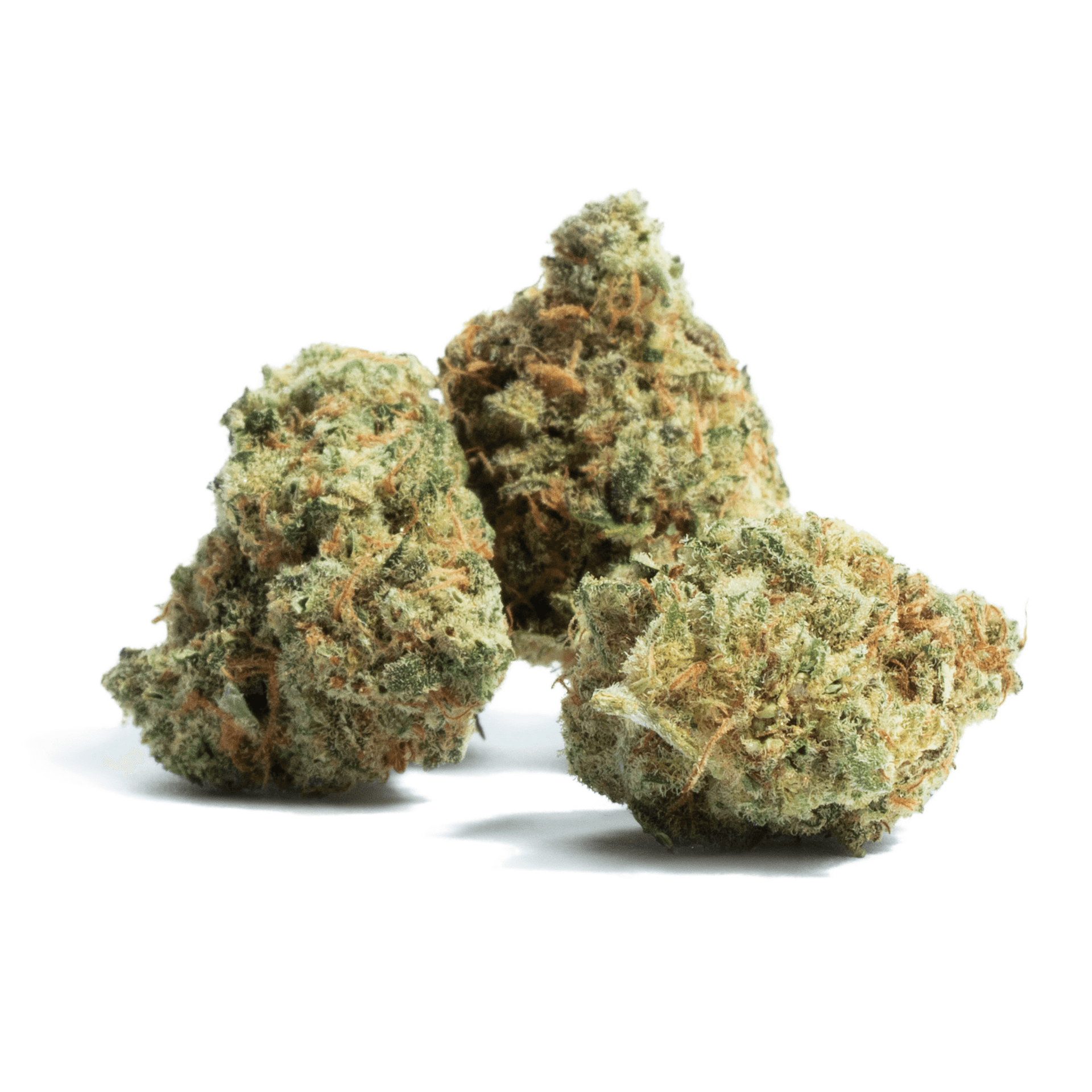 Titan Express Cannabis Strain | Effects, Flavors & More